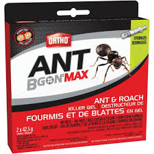 Ant Bgone Max - Ant and Roach Killer - Ortho – Sipkens